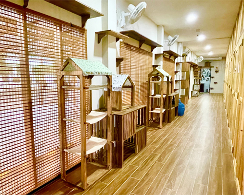 Cat Hotel, Cat Care, Cat Boarding, Cat Kennels, Cat Kennel Facility ...