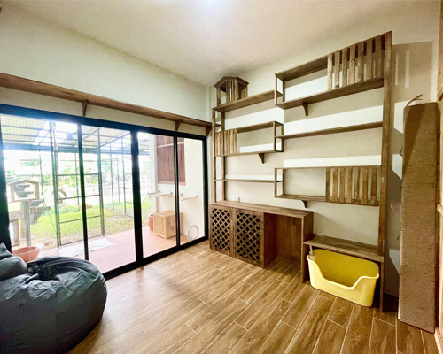 Cat Hotel, Cat Care, Cat Boarding, Cat Kennels, Cat Kennel Facility ...