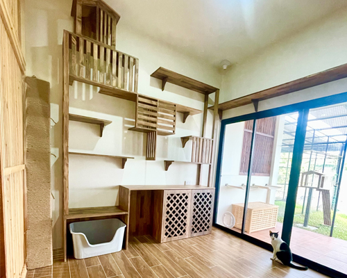 Cat Hotel, Cat Care, Cat Boarding, Cat Kennels, Cat Kennel Facility ...