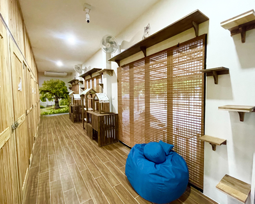 Cat Hotel, Cat Care, Cat Boarding, Cat Kennels, Cat Kennel Facility ...