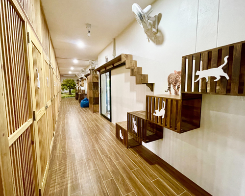 Cat Hotel, Cat Care, Cat Boarding, Cat Kennels, Cat Kennel Facility ...