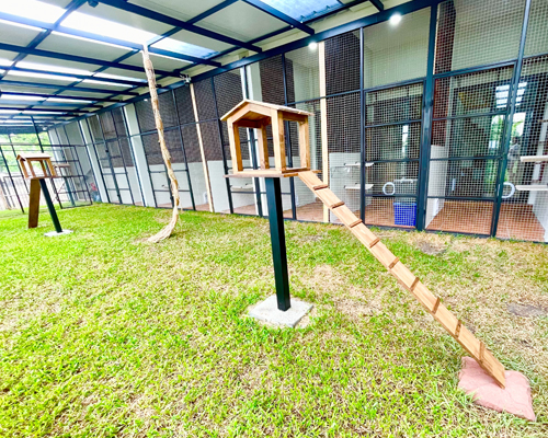 Cat Hotel, Cat Care, Cat Boarding, Cat Kennels, Cat Kennel Facility ...