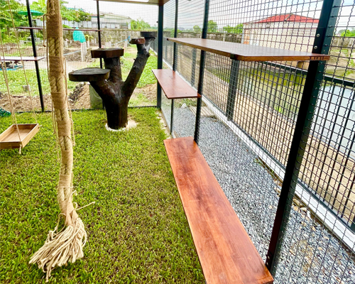 Cat Hotel, Cat Care, Cat Boarding, Cat Kennels, Cat Kennel Facility ...