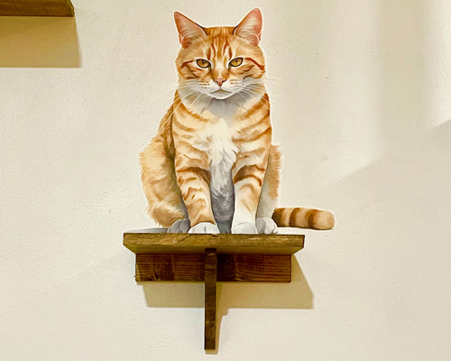 Cat Hotel, Cat Care, Cat Boarding, Cat Kennels, Cat Kennel Facility ...